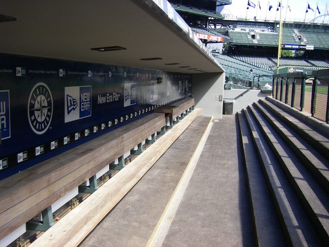 Field of Dreams: Baseball Parks • McCool Travel