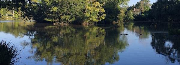 Virginia Tech Duck Pond Solitude • McCool Travel