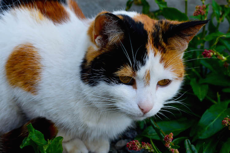 8 Great Iceland Photo Destinations • McCool Travel